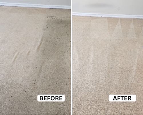 Carpet Dry Cleaning Perth | Carpet Dry Cleaner Near Me